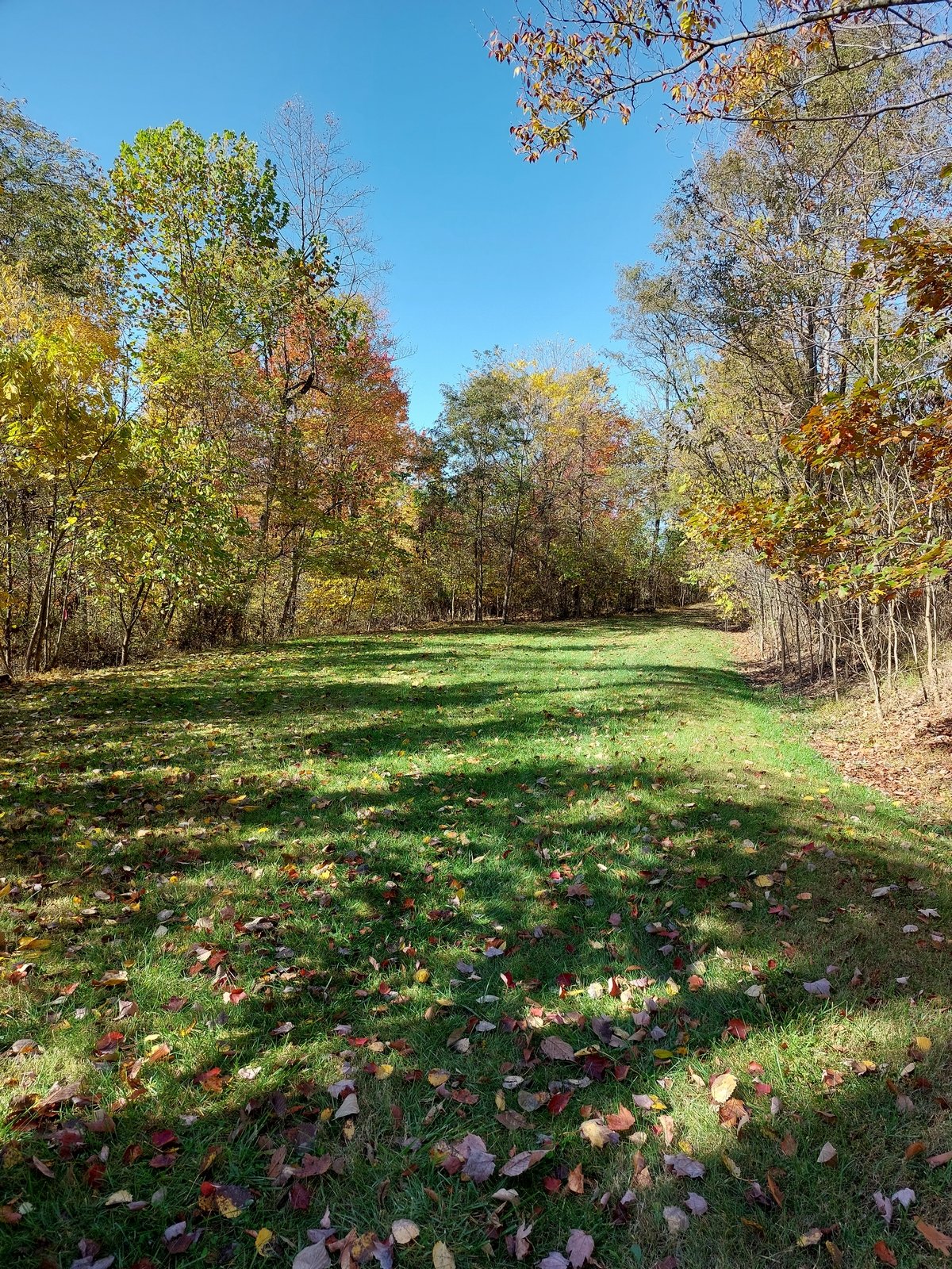 HLRBO Hunting Lease - 80 acres in Hocking County,Ohio