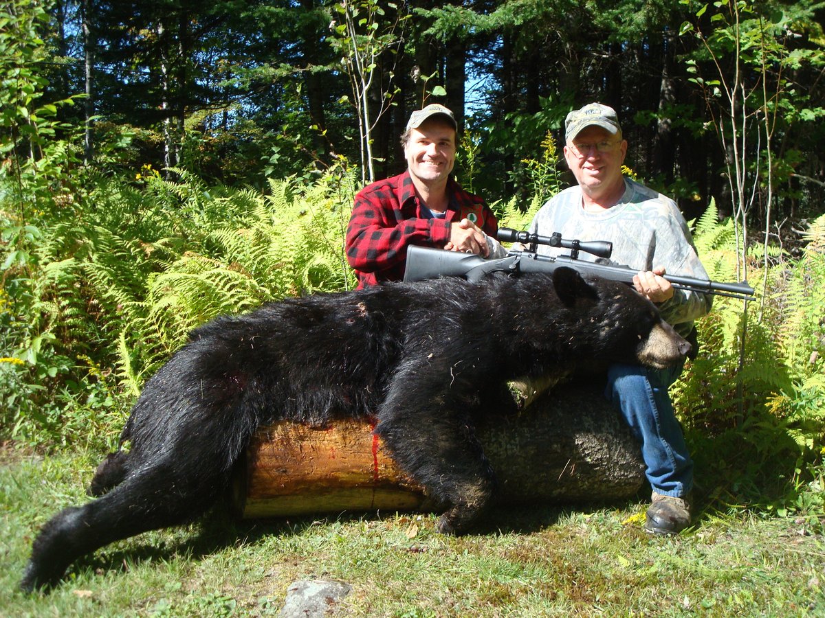 HLRBO - The Thrill of the Hunt A Guide to Bear Hunting