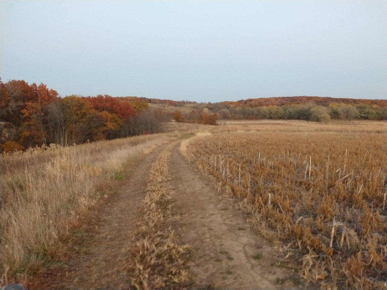 HLRBO Hunting Lease - 175 acres in Wayne County,Iowa