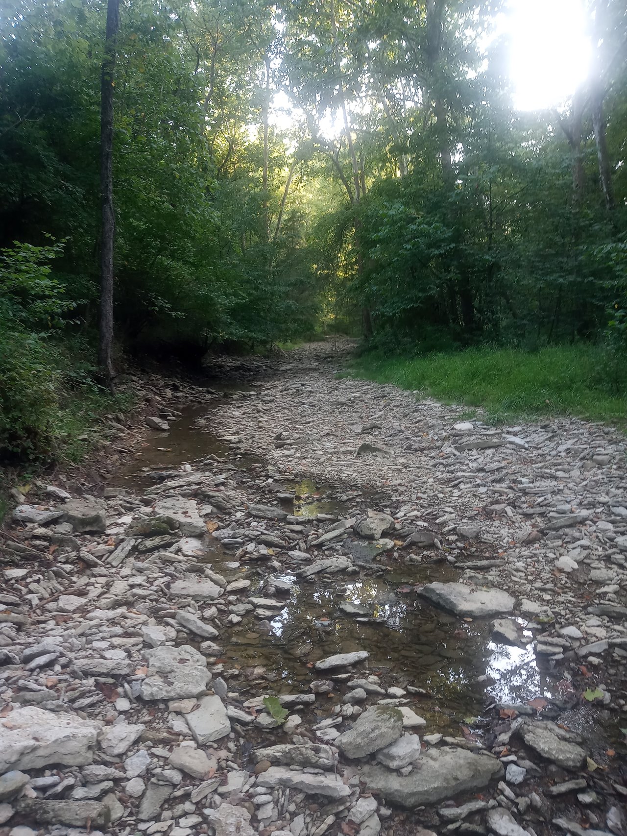 HLRBO Hunting Lease - 75 acres in Trimble County,Kentucky
