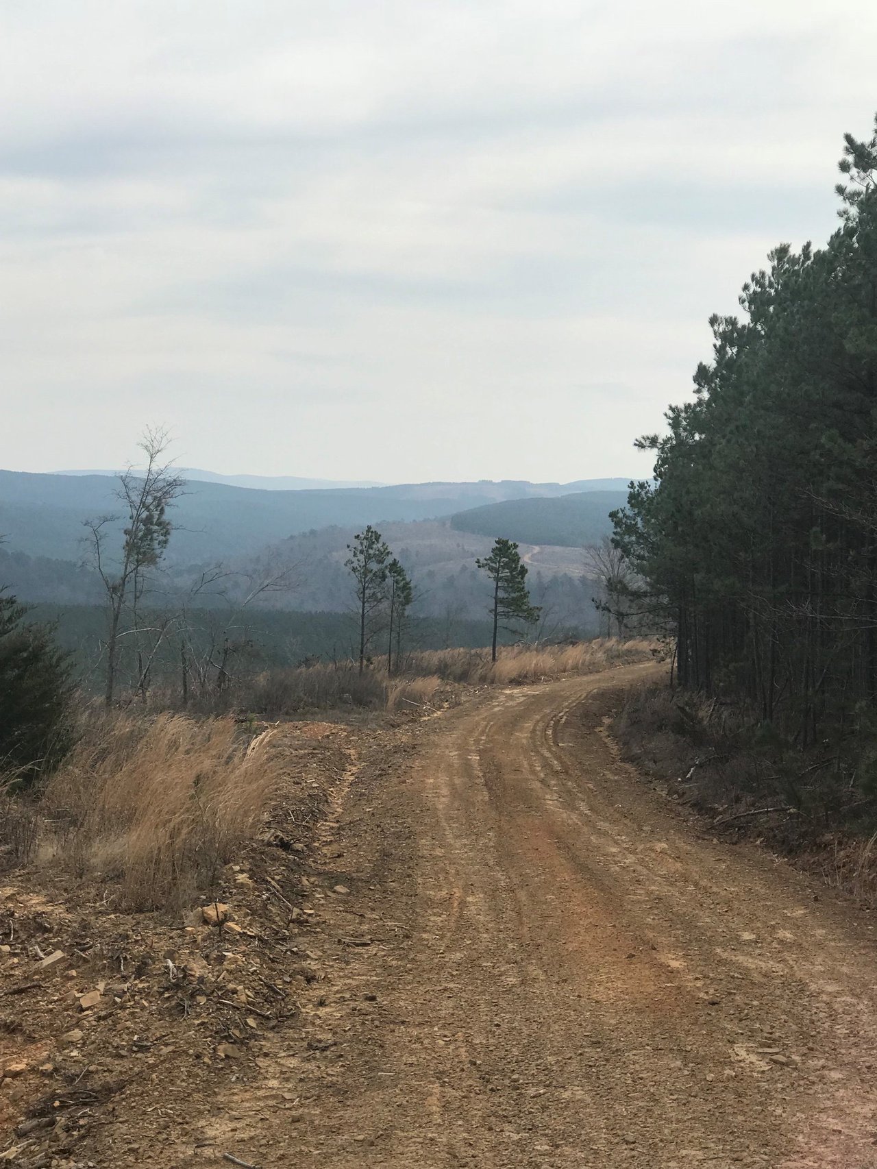 HLRBO Hunting Lease - 1700 acres in Pushmataha County,Oklahoma