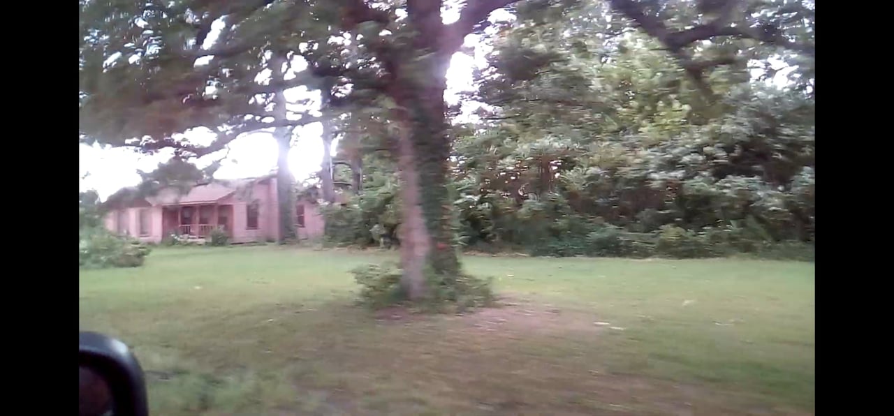 HLRBO Hunting Lease - 38 acres in Desha County,Arkansas