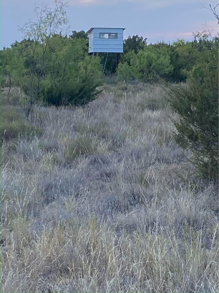 HLRBO Hunting Lease - 250 acres in Runnels County,Texas