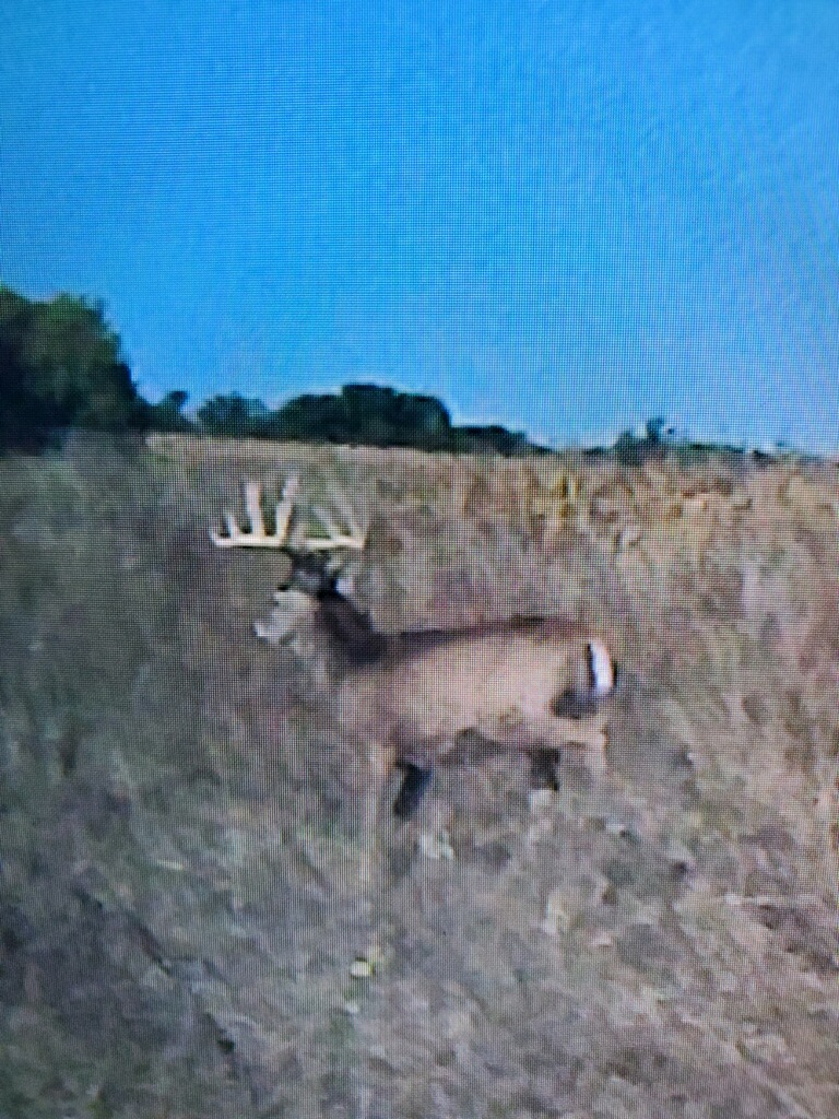 HLRBO Hunting Lease - 3000 acres in Greeley County,Nebraska
