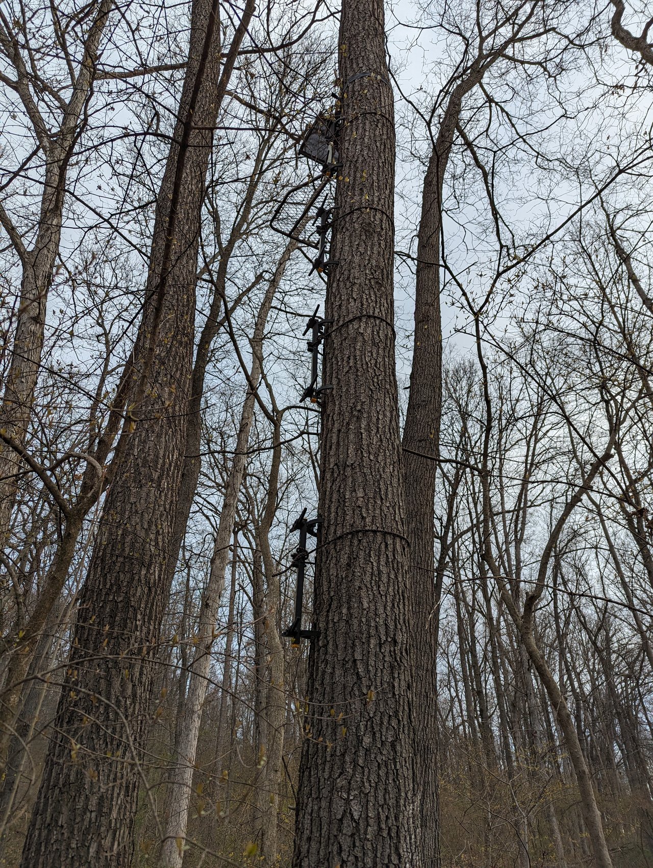 HLRBO Hunting Lease - 50 acres in Warren County,New Jersey