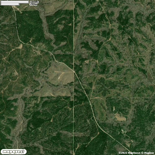 HLRBO Hunting Lease - 250 acres in Talbot County,Georgia