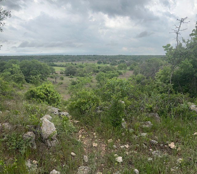 HLRBO Hunting Lease - 439 acres in Hamilton County,Texas