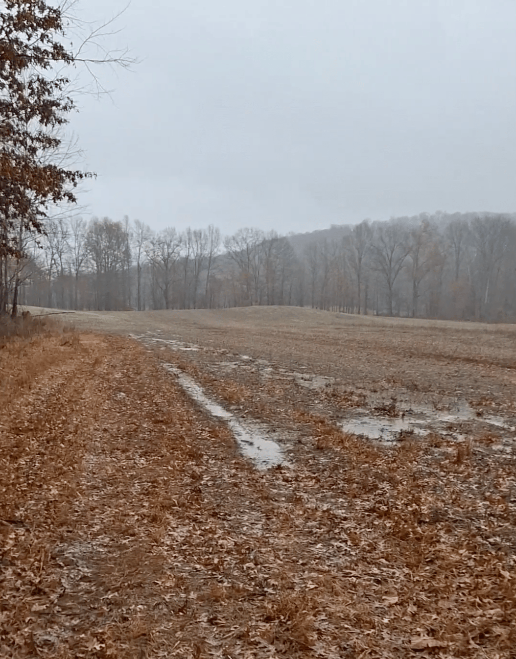 HLRBO Hunting Lease - 52 acres in Pike County,Ohio