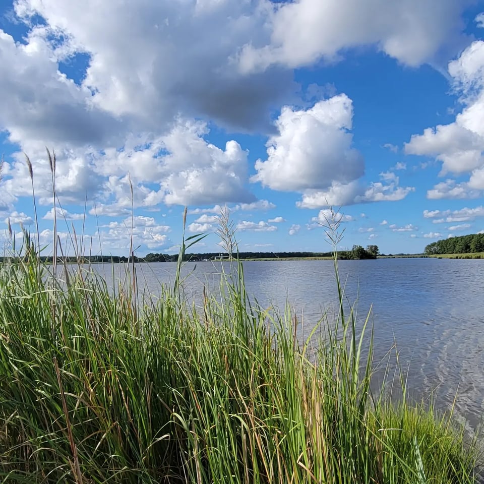 HLRBO Hunting Lease - 43 acres in Somerset County,MD