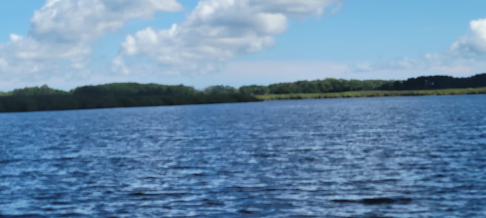 HLRBO Hunting Lease - 43 acres in Somerset County,MD