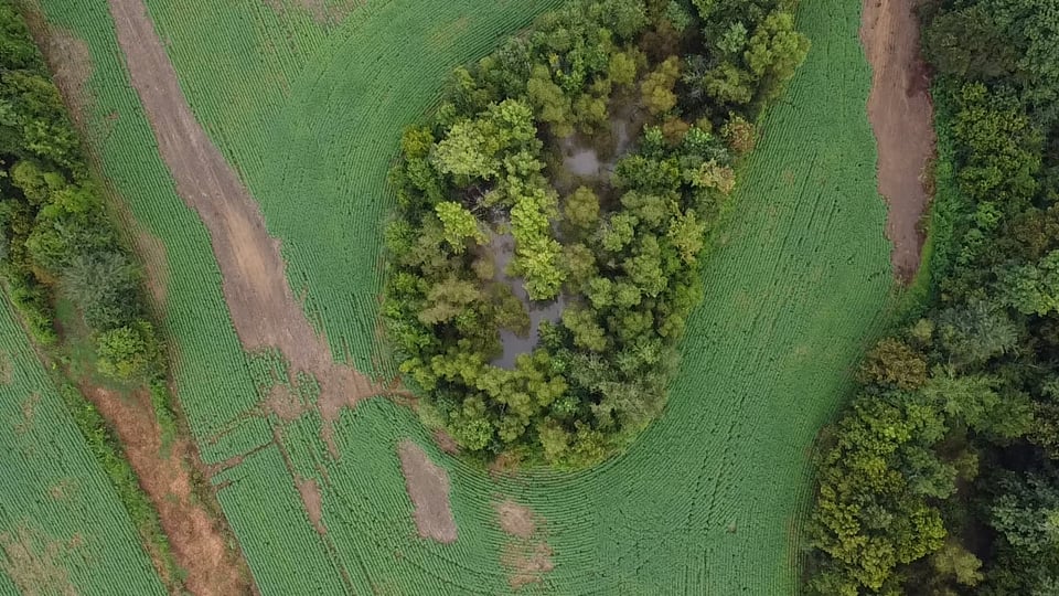HLRBO Hunting Lease - 100 acres in Madison County,AL
