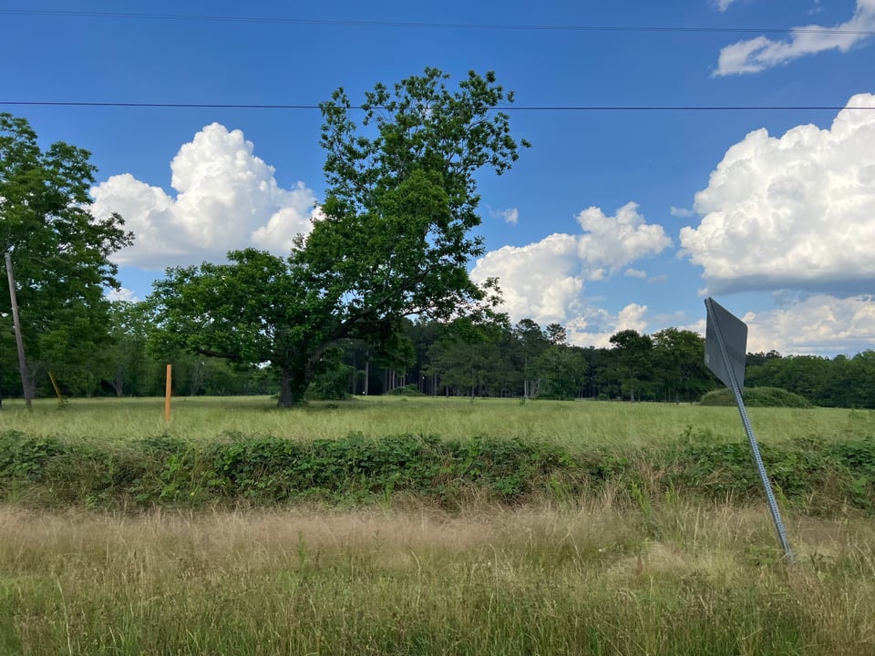HLRBO Hunting Lease - 35 acres in Pierce County,GA