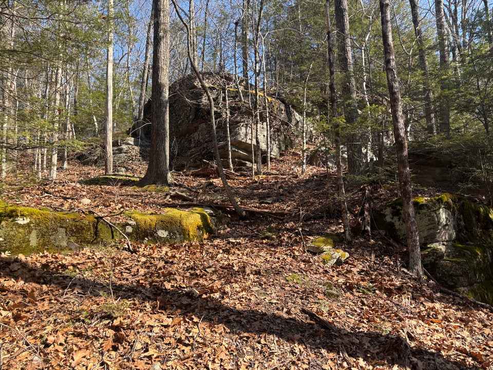HLRBO Hunting Lease - 25 acres in Sullivan County,NY