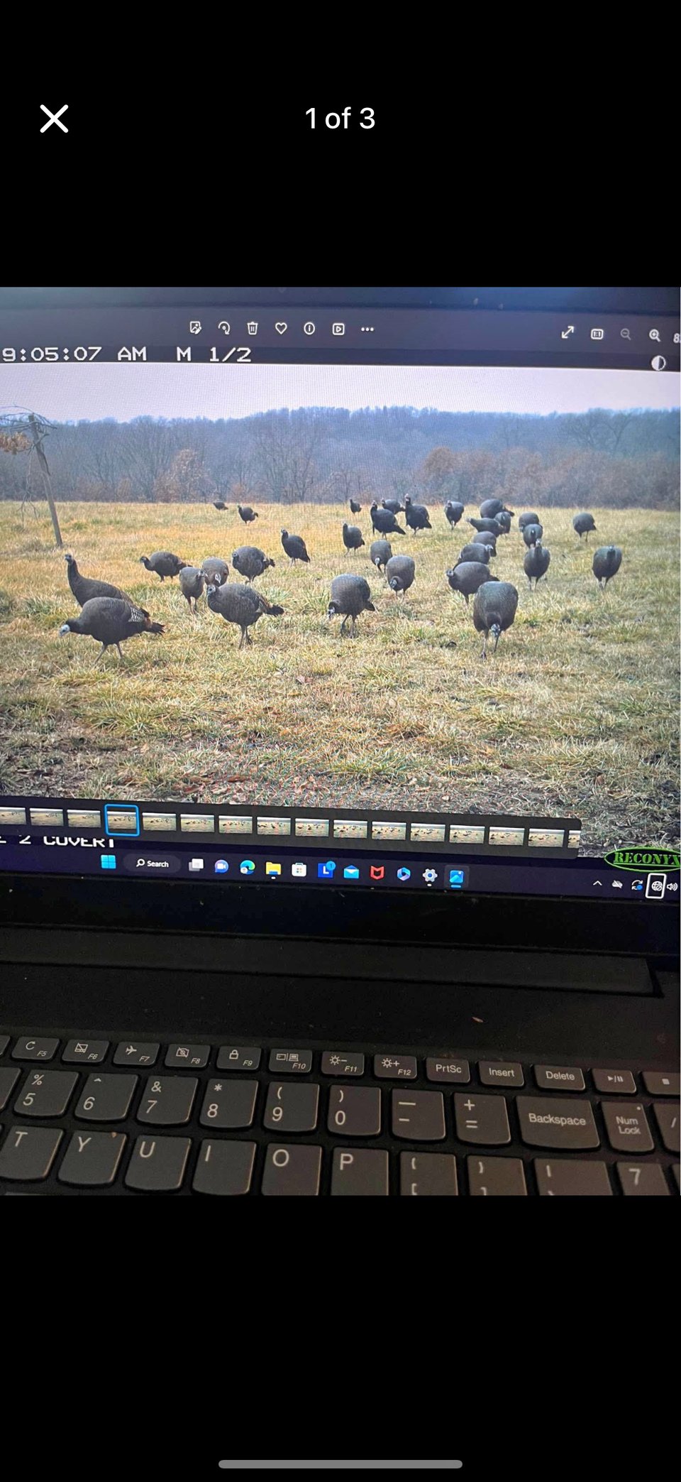 HLRBO Hunting Lease - 110 acres in Wayne County,IA