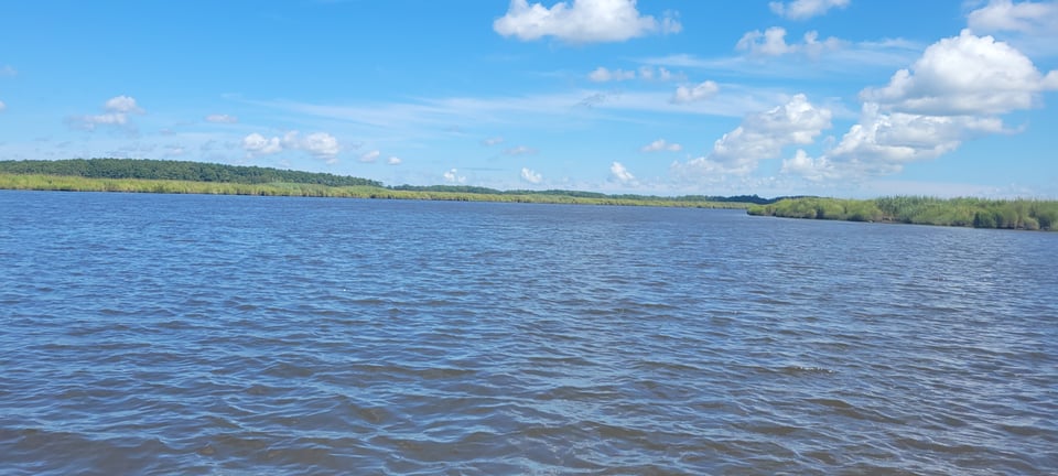 HLRBO Hunting Lease - 43 acres in Somerset County,MD