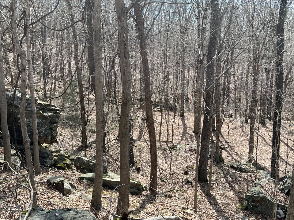 HLRBO Hunting Lease - 5 acres in Johnson County,IL