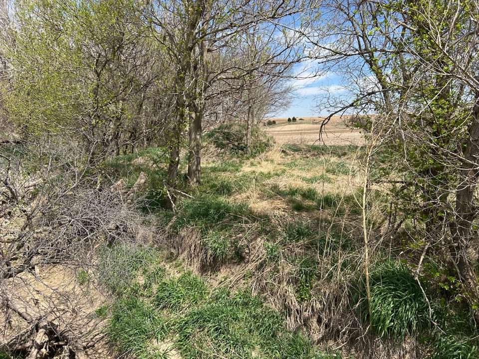 HLRBO Hunting Lease - 160 acres in Franklin County,NE