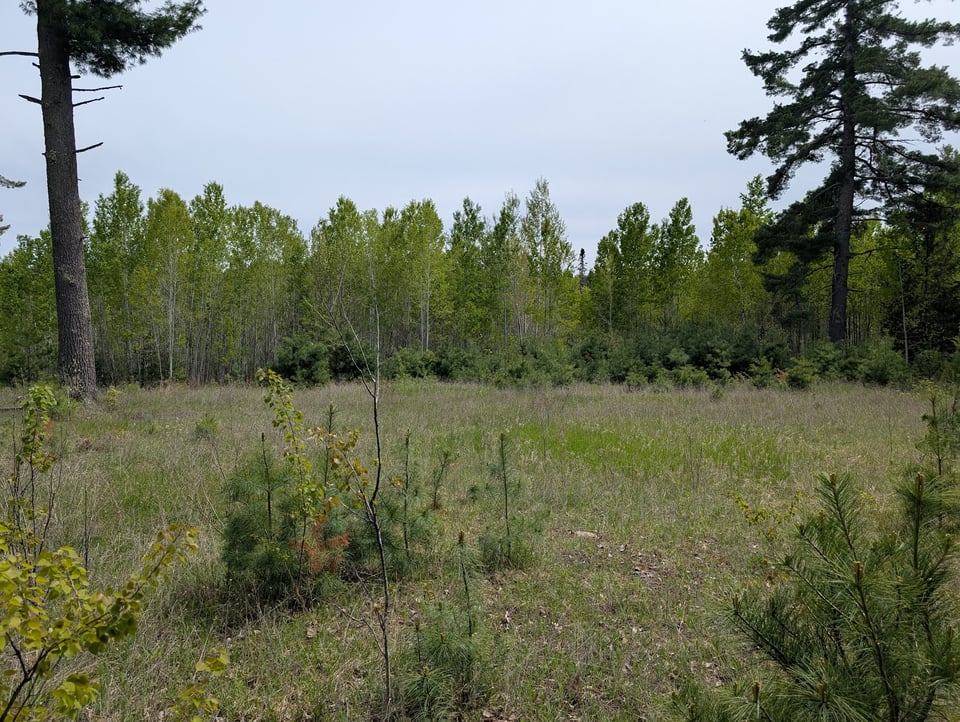 HLRBO Hunting Lease - 200 acres in Menominee County,MI