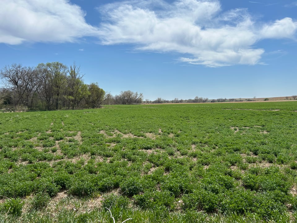 HLRBO Hunting Lease - 160 acres in Franklin County,NE