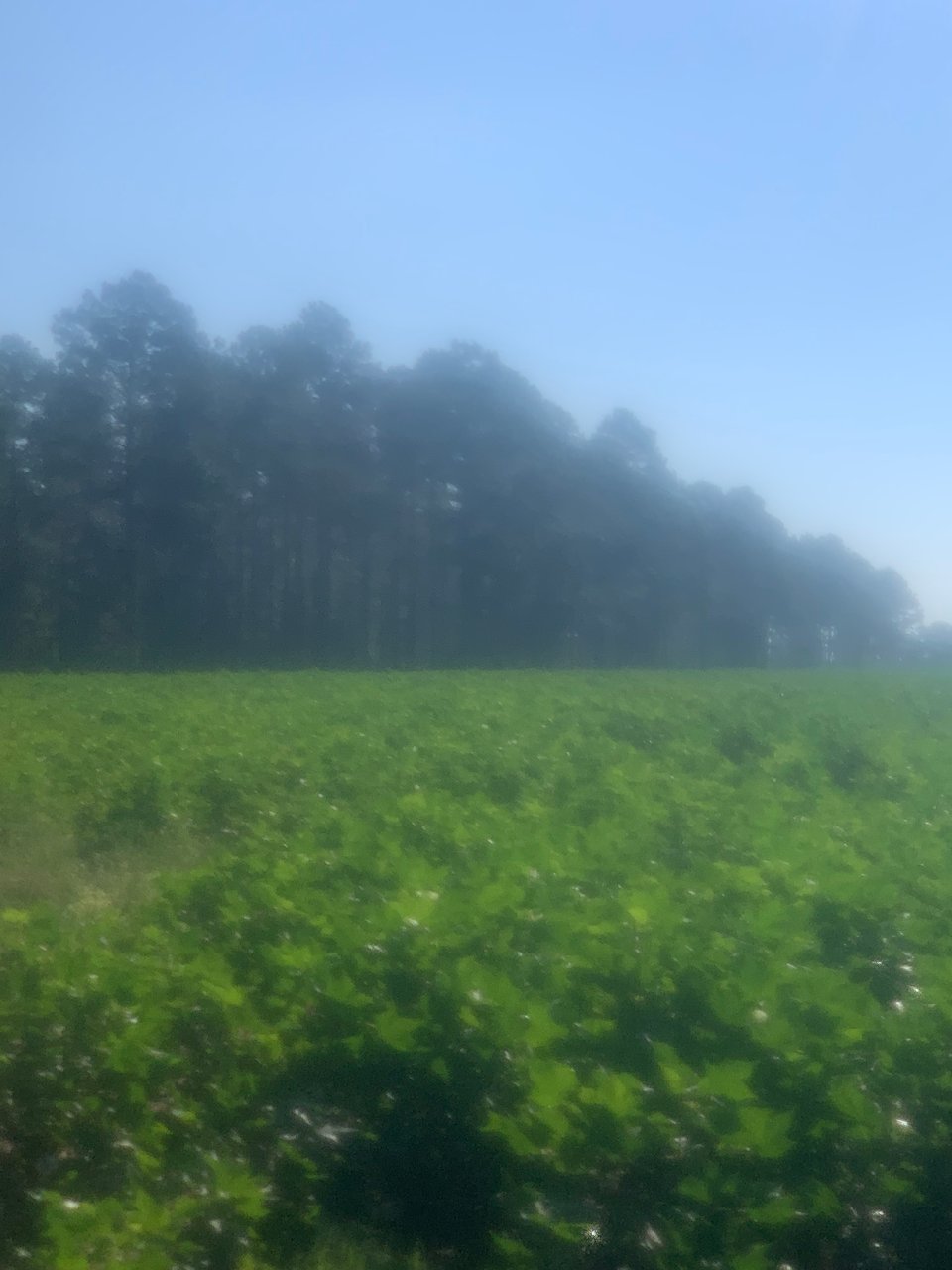 HLRBO Hunting Lease - 2800 acres in Holmes County,FL