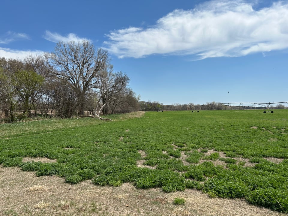 HLRBO Hunting Lease - 160 acres in Franklin County,NE