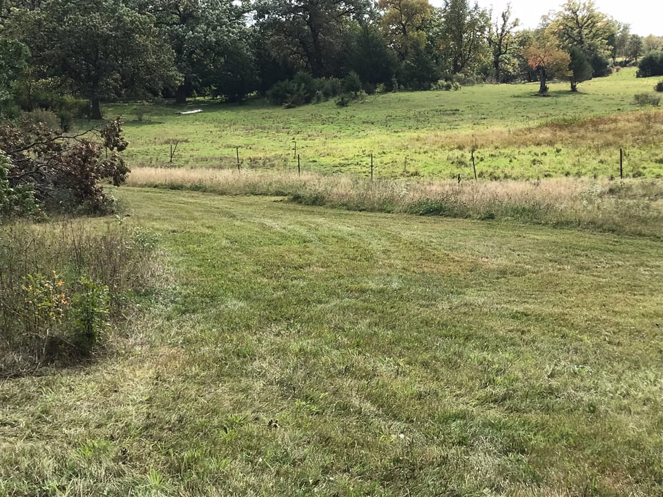 HLRBO Hunting Lease - 24 acres in Rice County,MN