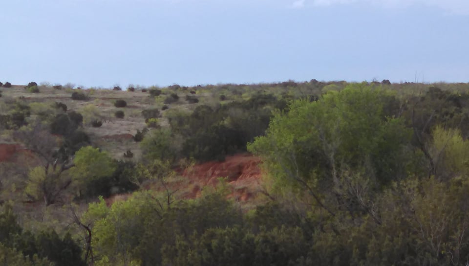 HLRBO Hunting Lease - 165 acres in Dickens County,TX