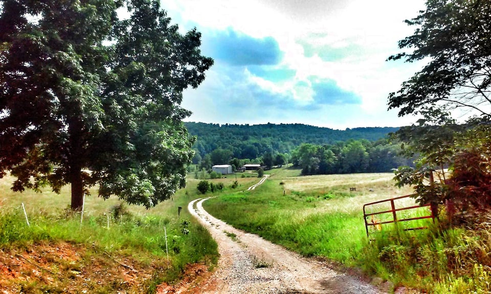 HLRBO Hunting Lease - 60 acres in Henderson County,Tennessee