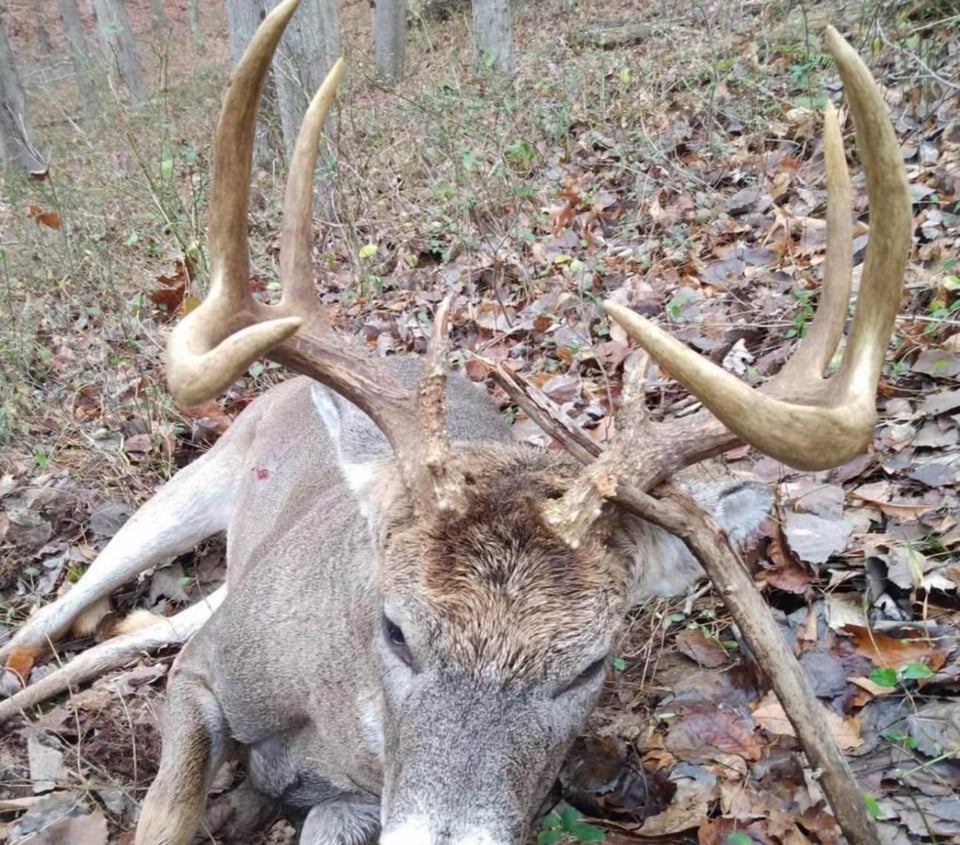 HLRBO Hunting Lease - 238 acres in Livingston County,KY