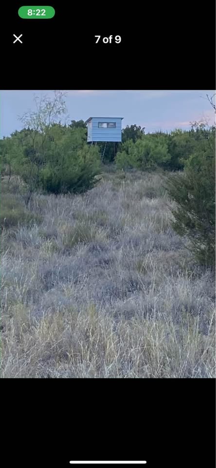 HLRBO Hunting Lease - 250 acres in Runnels County,TX