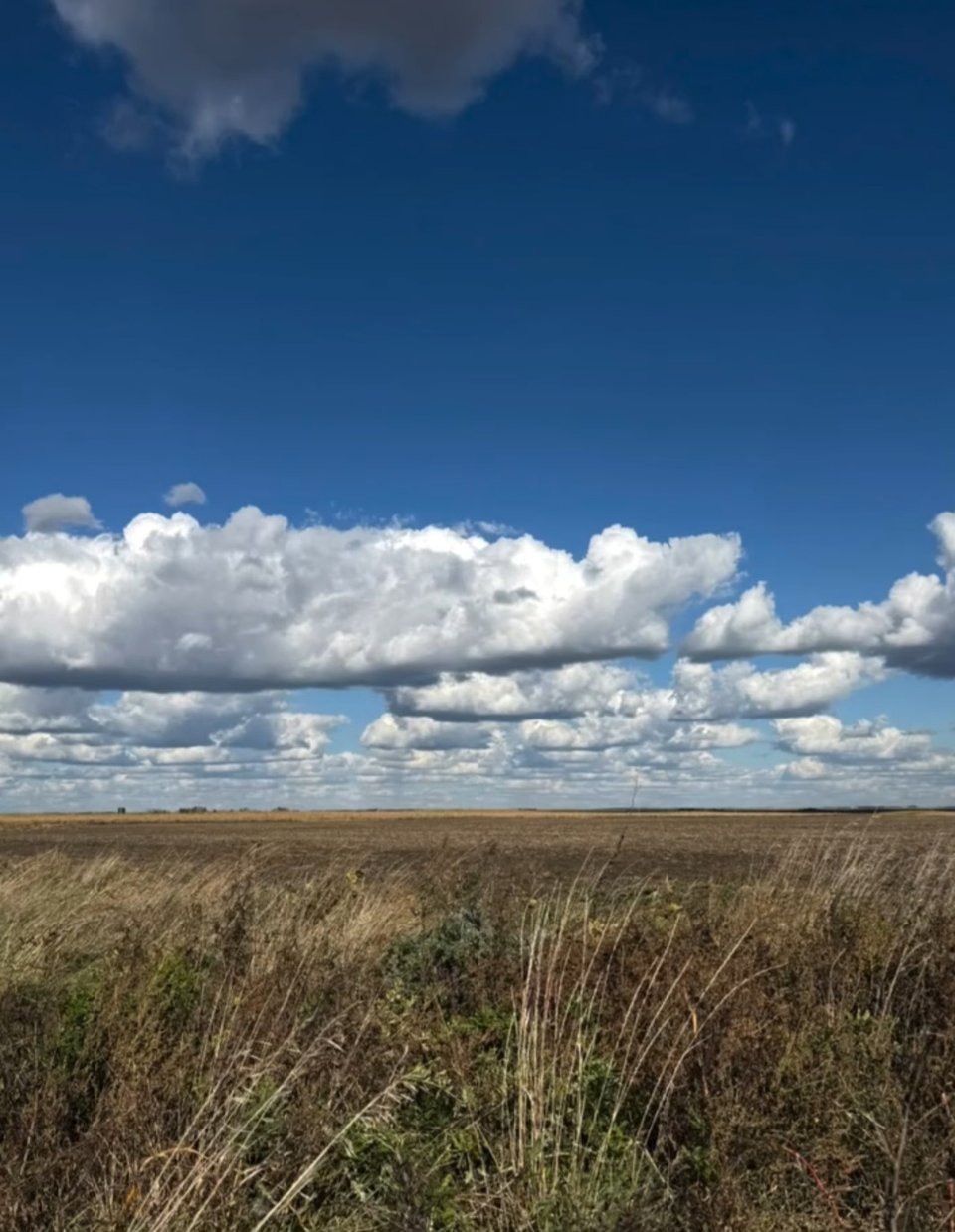 HLRBO Hunting Lease - 3000 acres in Edmunds County,SD
