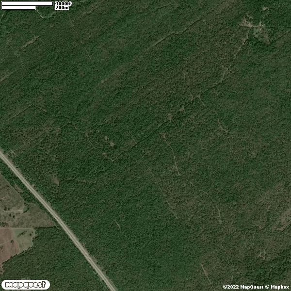 HLRBO Hunting Lease - 160 acres in Pushmataha County,OK