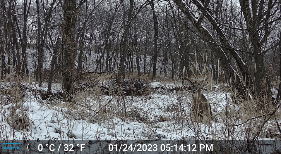 HLRBO Hunting Lease - 175 acres in Wayne County,Iowa