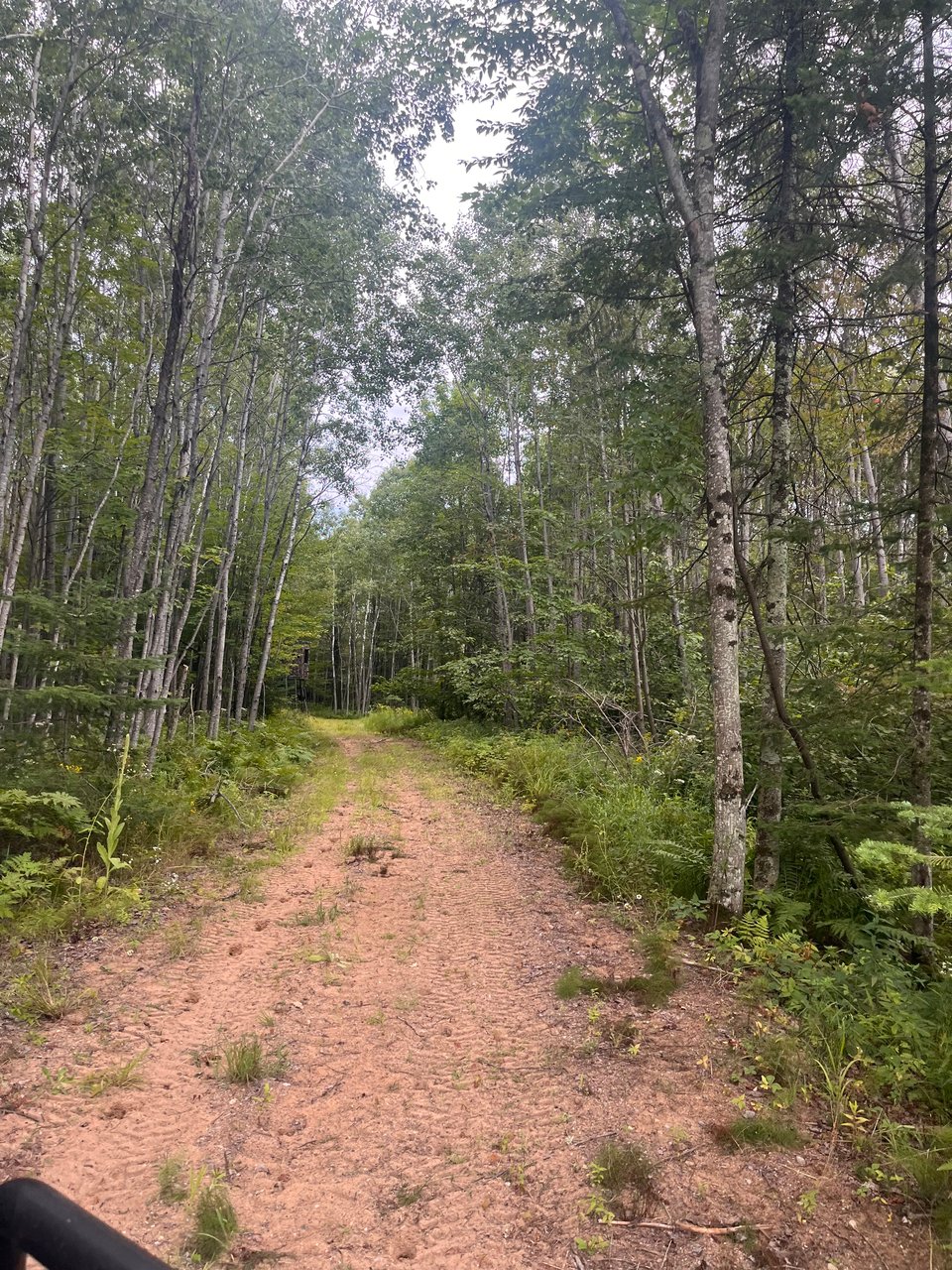 HLRBO Hunting Lease - 40 acres in Langlade County,WI