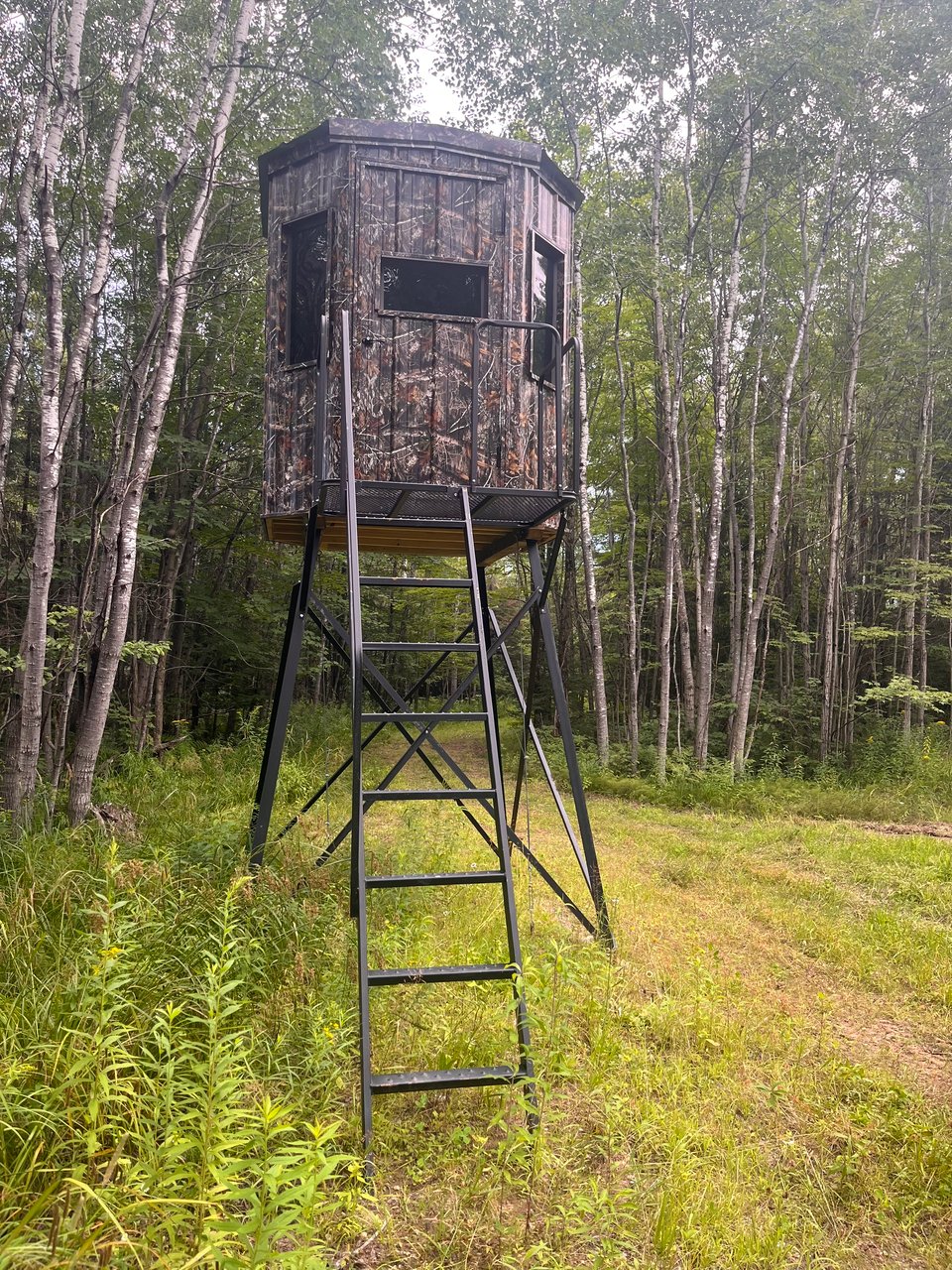 HLRBO Hunting Lease - 40 acres in Langlade County,WI