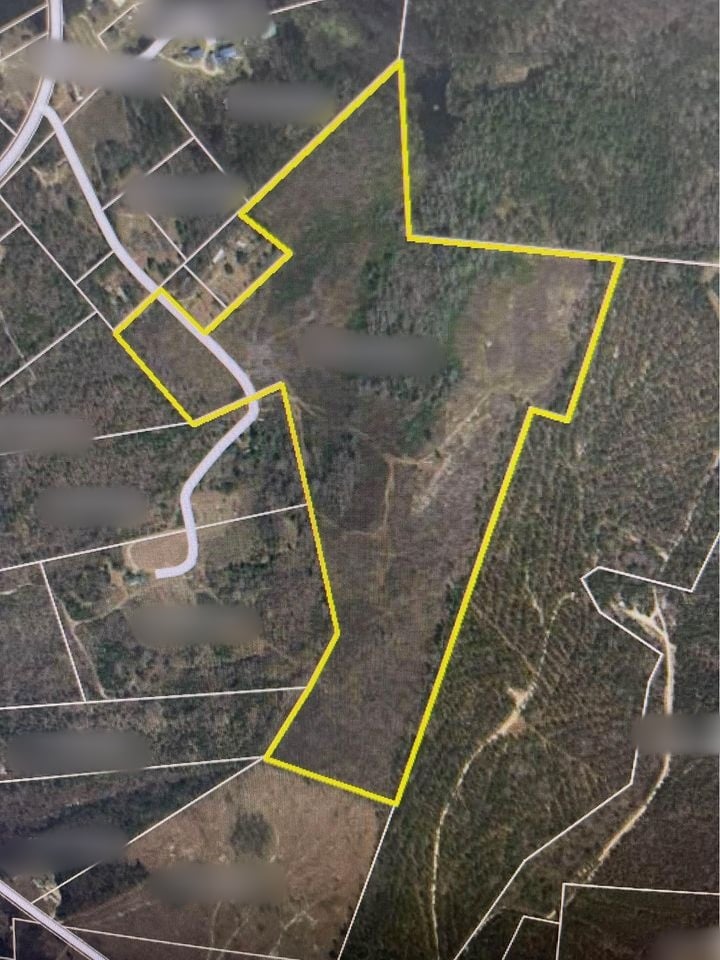 HLRBO Hunting Lease - 300 acres in McCormick County,South Carolina