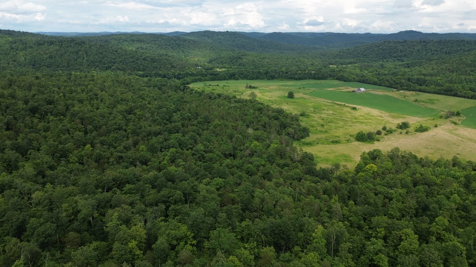 Hunting Land For Lease In Kentucky