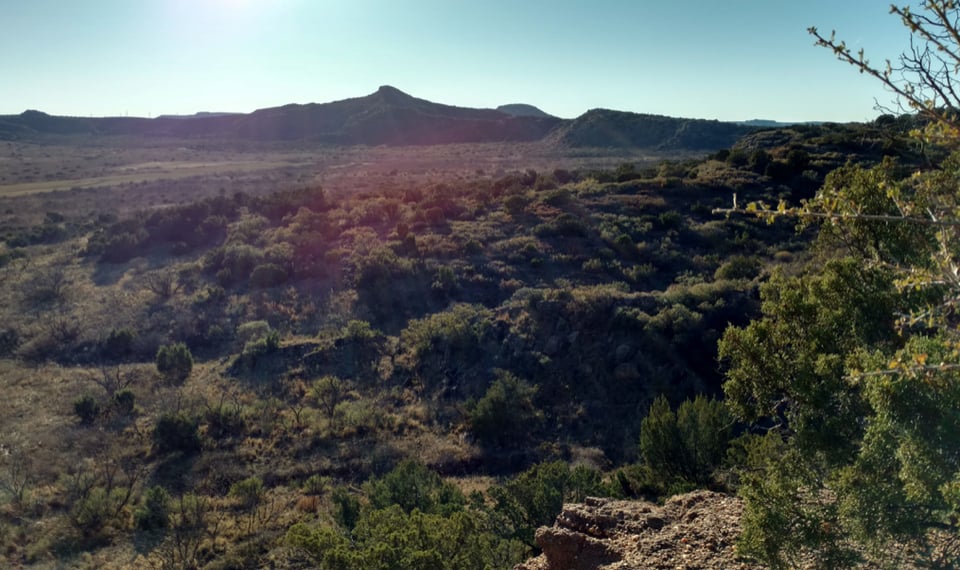 HLRBO Hunting Lease - 165 acres in Dickens County,TX