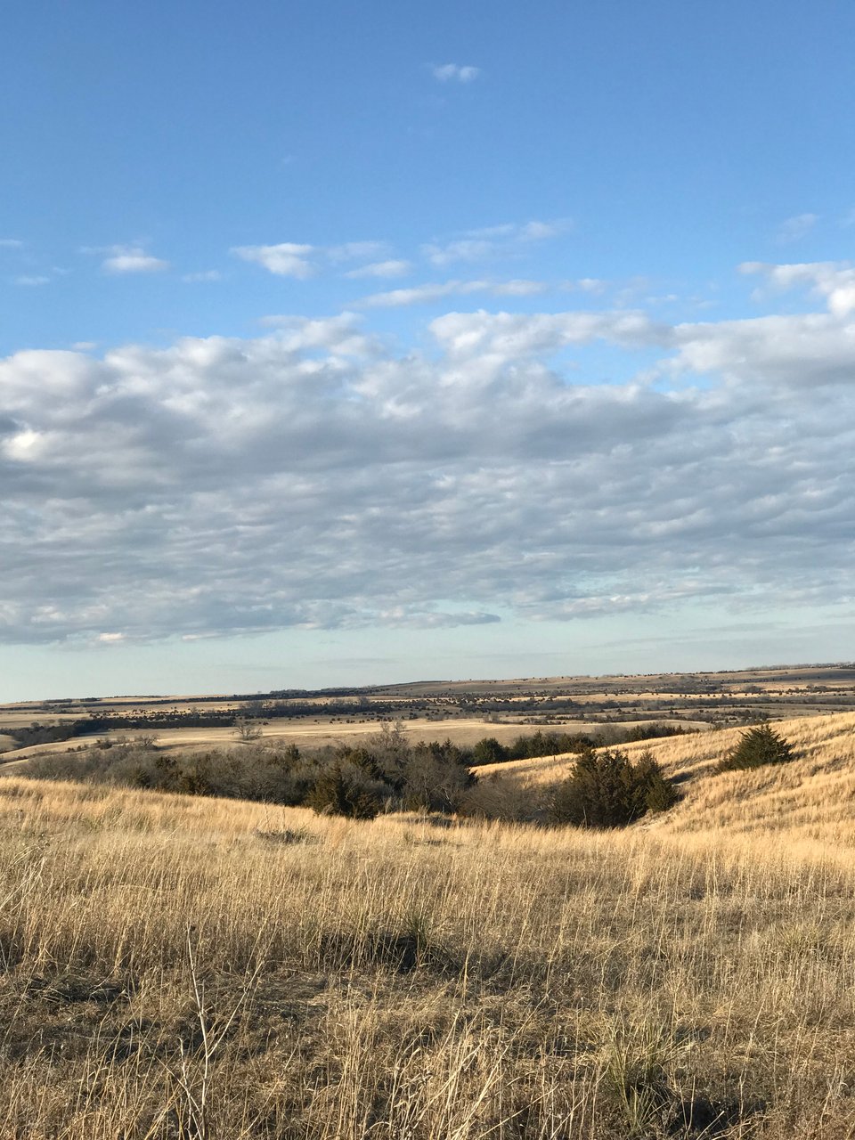 HLRBO Hunting Lease - 1800 acres in Rock County,Nebraska
