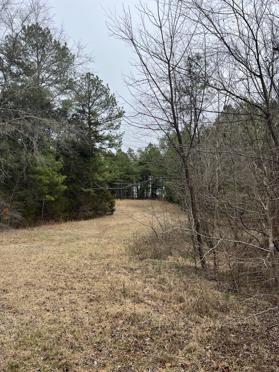 HLRBO Hunting Lease - 63 acres in Chester County,SC