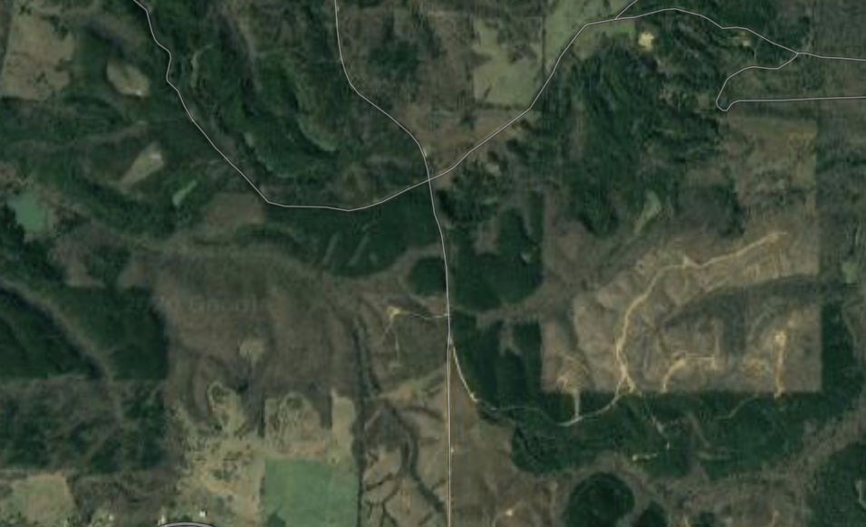 HLRBO Hunting Lease - 1000 acres in Lee County,Alabama