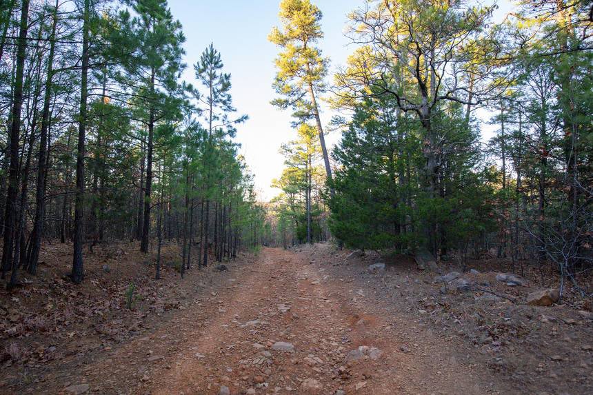 HLRBO Hunting Lease - 20 acres in Latimer County,OK