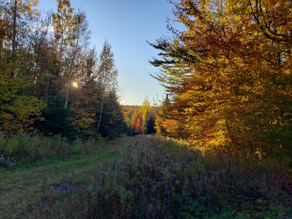 HLRBO Hunting Lease - 540 acres in Aroostook County,ME