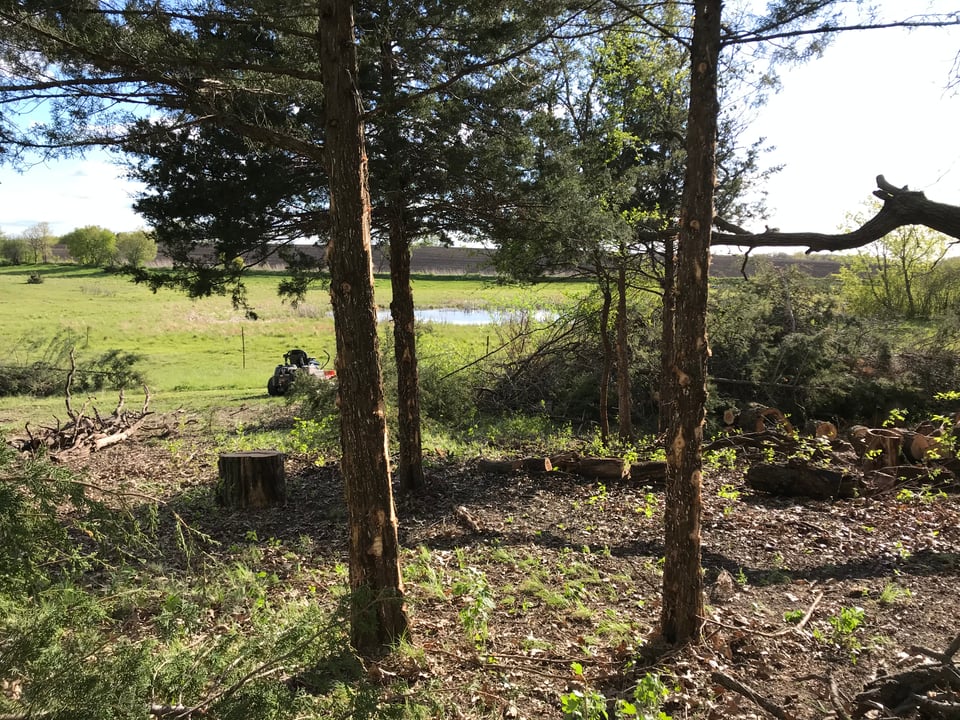 HLRBO Hunting Lease - 24 acres in Rice County,MN