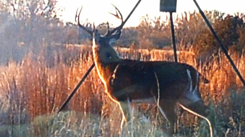 HLRBO Hunting Lease - 165 acres in Dickens County,TX