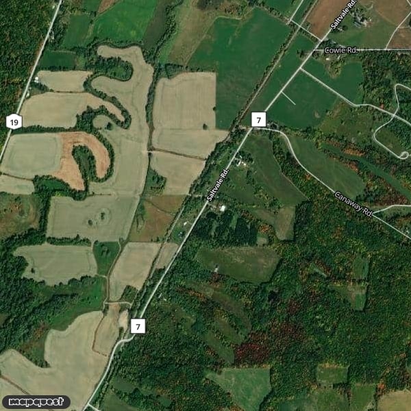 HLRBO Hunting Lease - 113 acres in Wyoming County,NY
