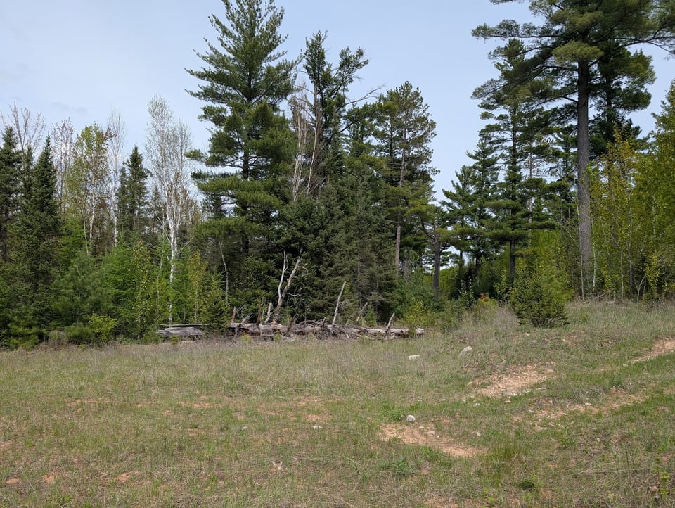 HLRBO Hunting Lease - 200 acres in Menominee County,MI