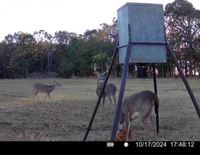 HLRBO Hunting Lease - 800 acres in Carroll County,Arkansas