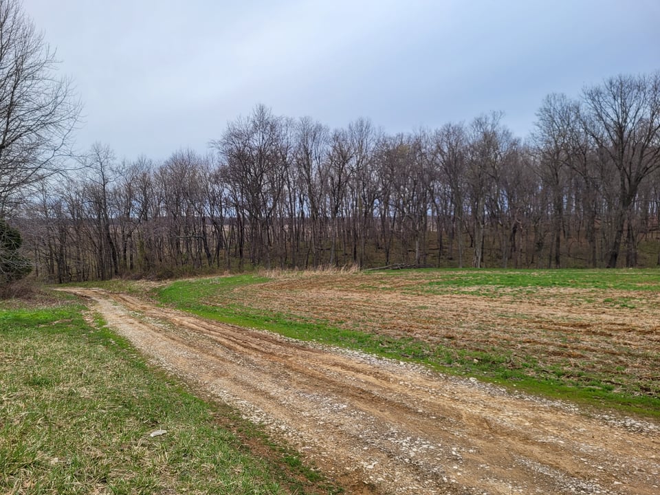 HLRBO Hunting Lease - 63 acres in Knox County,Indiana