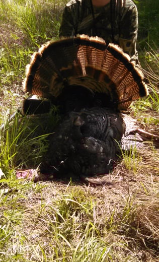 HLRBO Hunting Lease - 165 acres in Dickens County,TX